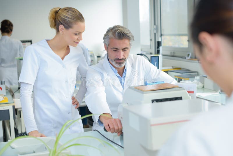 People in lab stock photo. Image of examination, professional - 256657196