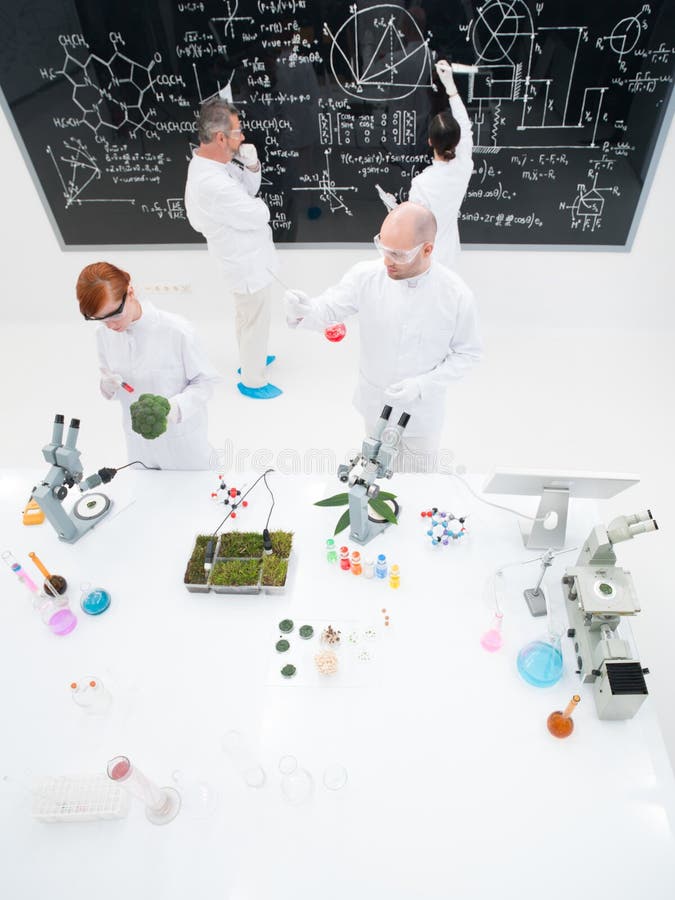 People Laboratory Experiments Stock Image - Image of botanical ...