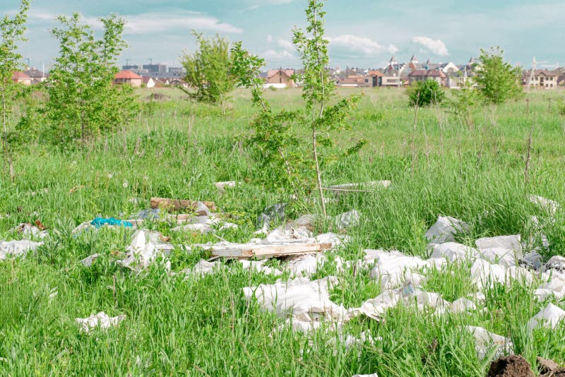 People Left Construction Waste Outdoors in the Forest. Pollution of ...
