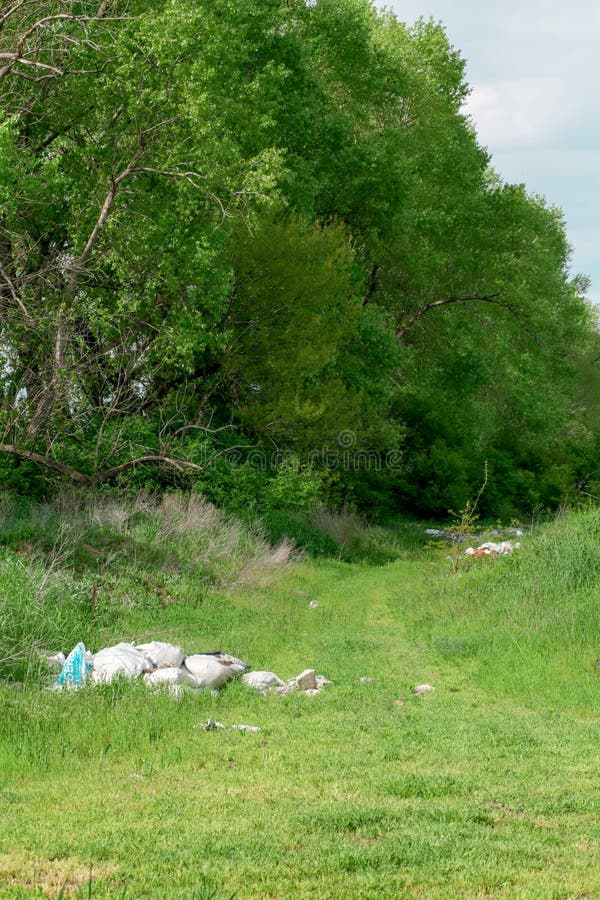 People Left Construction Waste Outdoors in the Forest. Pollution of ...