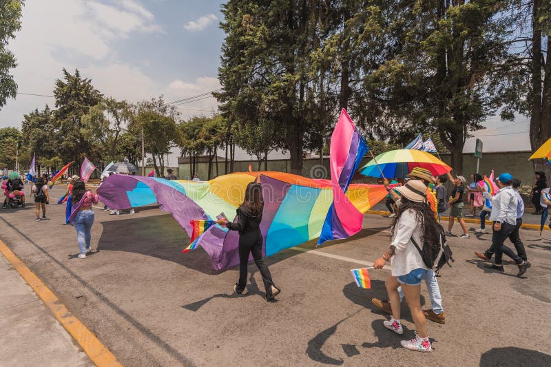 People from the LGBT Community Carrying Multi-colored Flags at the ...