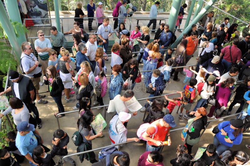 People in line editorial photography. Image of rows, women - 17735522