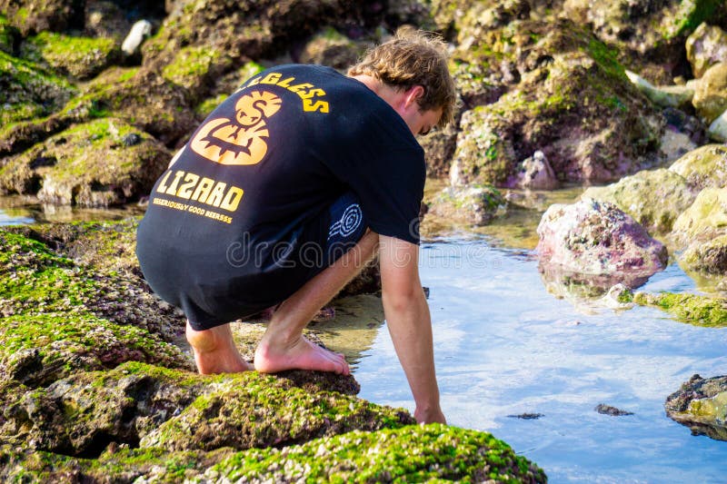People Looking for Sea Animals in Gondo Mayit Beach Editorial Stock ...