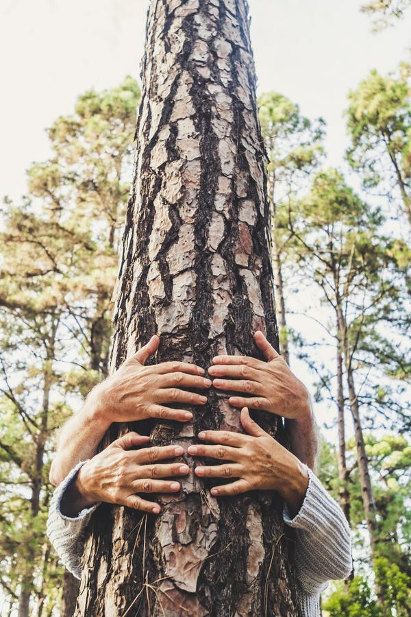 People and Love for Nature Environment Concept with Hands Hugging a ...