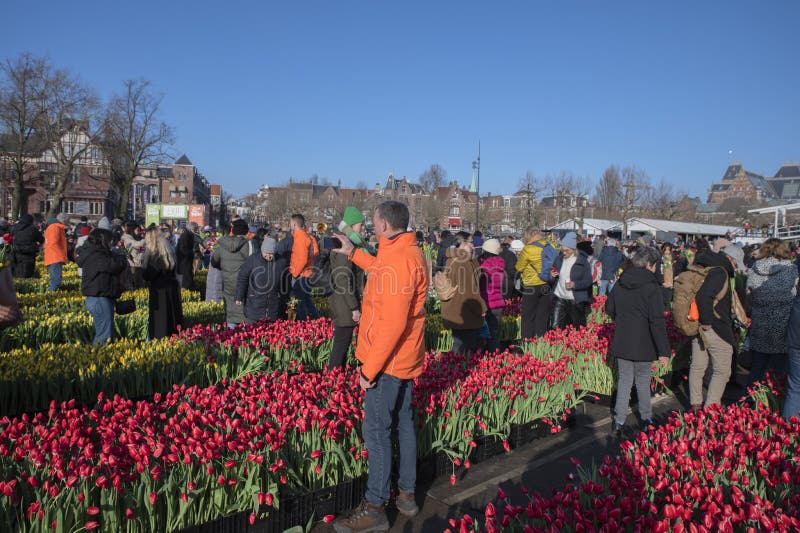 People at the National Tulip Day at Amsterdam the Netherlands 23-1-2023 ...