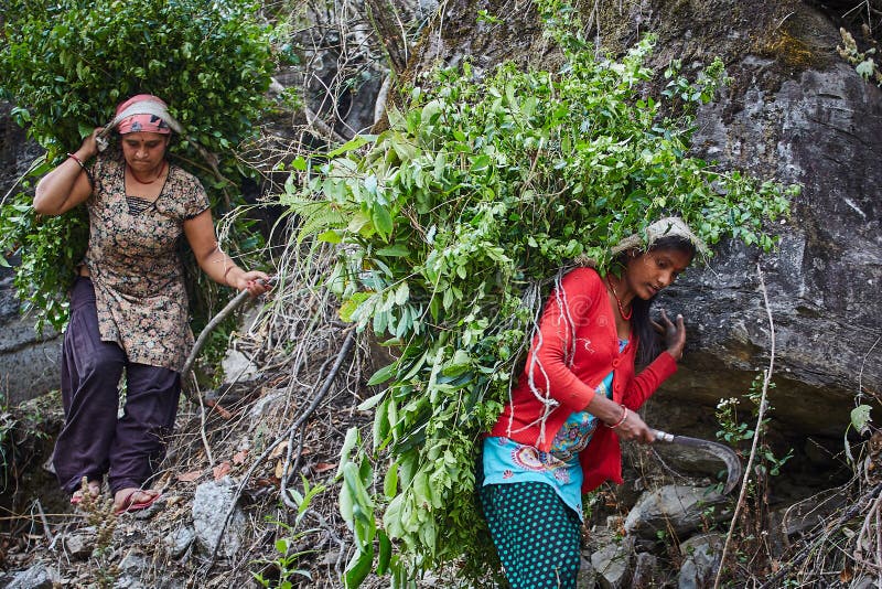 People of Nepal at Work. City Pictures Editorial Photo - Image of ...
