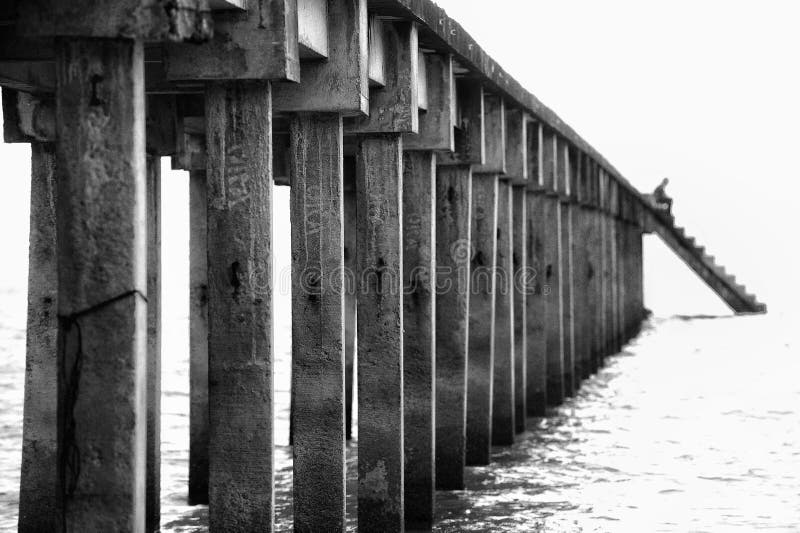 People and objects stock photo. Image of object, netting - 254805448