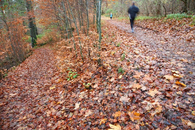 People outdoor stock photo. Image of climate, weather - 17224874