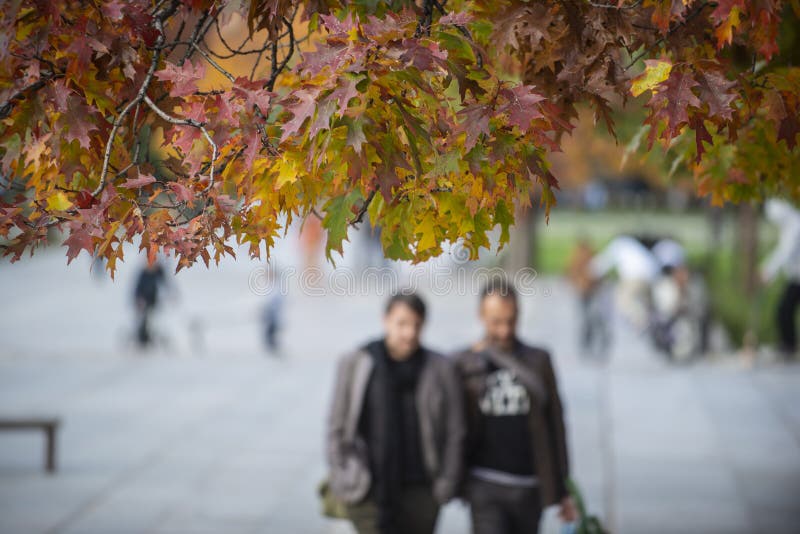 People Outside in the City during Autumn Stock Photo - Image of enjoy ...