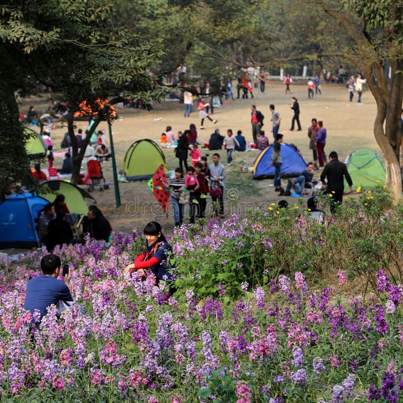 People in a park,in spring editorial photo. Image of landscape - 39414666