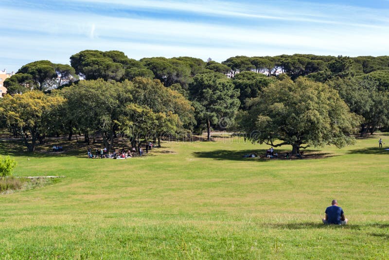 People in a Park on a Sunny Day Stock Photo - Image of public, clean ...