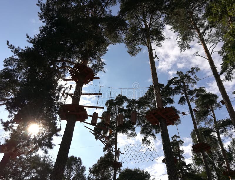 People Pass an Obstacle Course in a Rope Park in the Forest Stock Image ...
