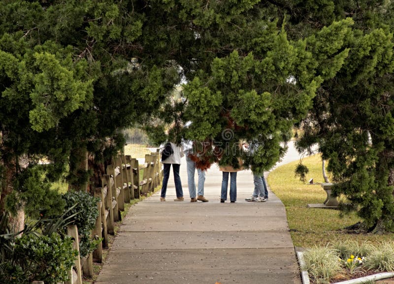 Seeingimages - Contributor Profile on Dreamstime