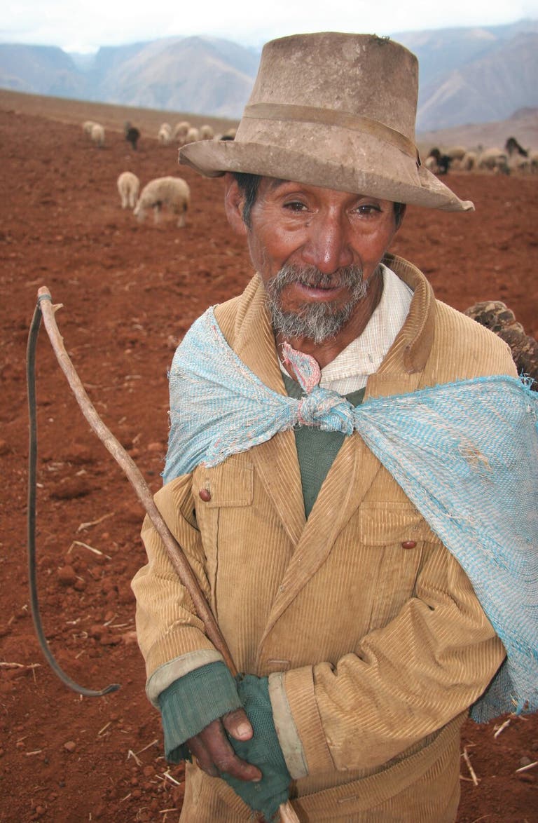 Indian Lamb Peru Stock Photos - Free & Royalty-Free Stock Photos from ...