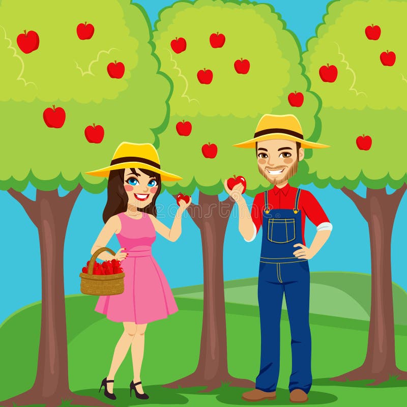 Farmer Picking Apple stock vector. Illustration of cartoon - 77146536