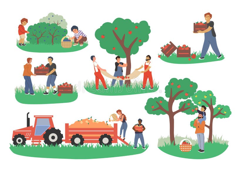 Digital Forest Fruit Picking Vector Illustration Food Person Summer