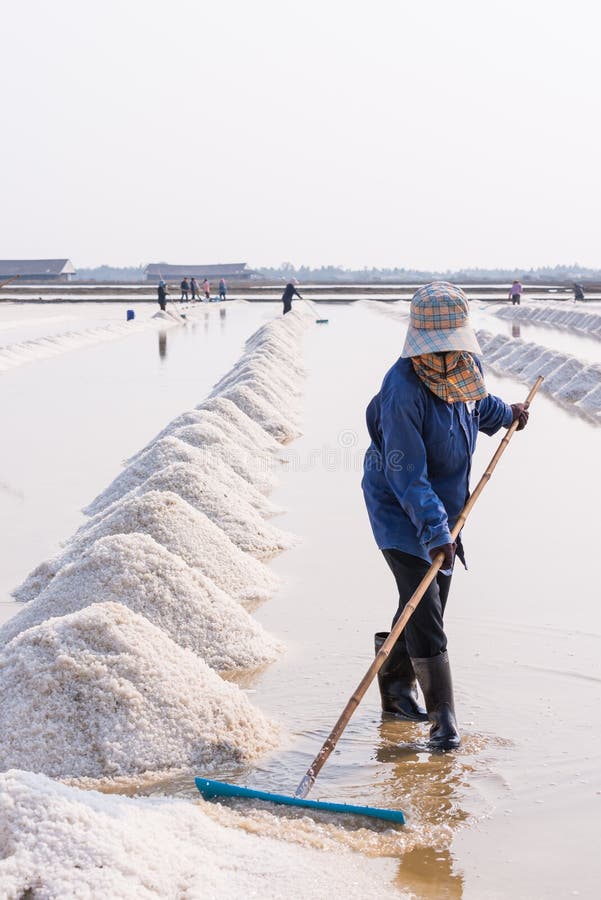 People piling up sea salt stock image. Image of asia - 33589357