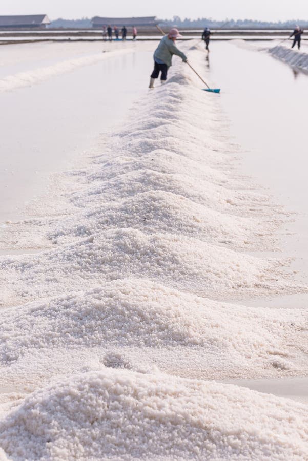 People piling up sea salt stock photo. Image of blue - 33589360