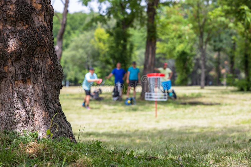 People Playing Flying Disc Golf Sport Game Stock Image - Image of ...