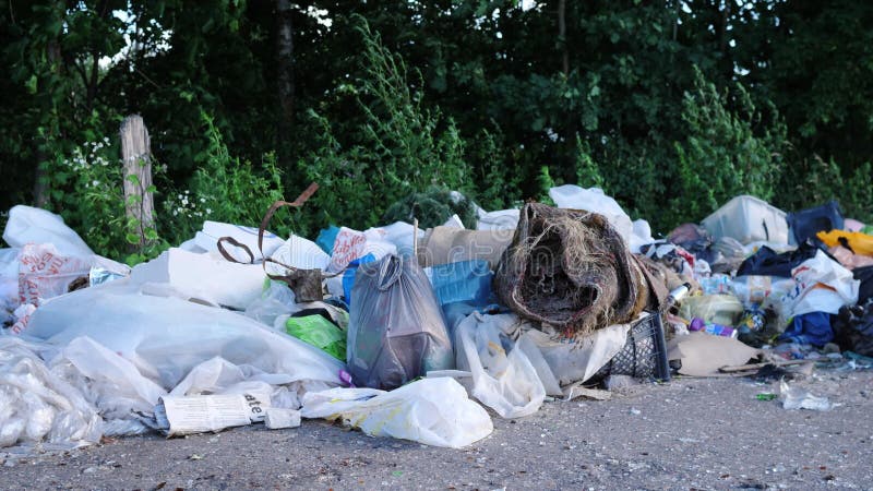 People Pollute the Environment, Garbage in the Forest Stock Footage ...
