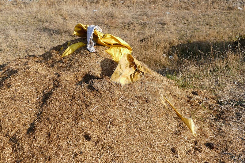 People Pollute the Environment they Live in, Rotten Straw Residues ...