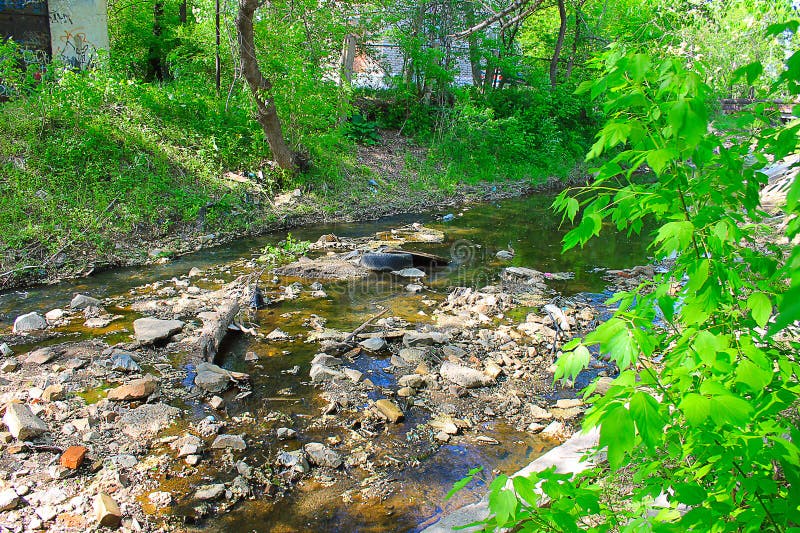 People Pollute the Environment Stock Image - Image of messy, outdoors ...