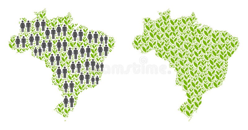 Demographics and Floral Brazil Map Stock Vector - Illustration of ...