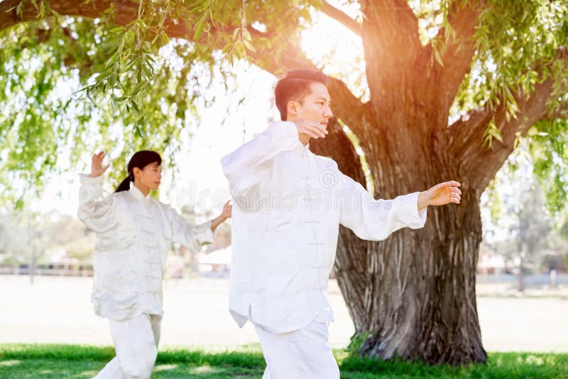 People Practicing Thai Chi in Park Stock Image - Image of medicine ...
