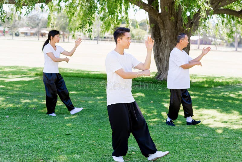 People Practicing Thai Chi in Park Stock Image - Image of harmony ...