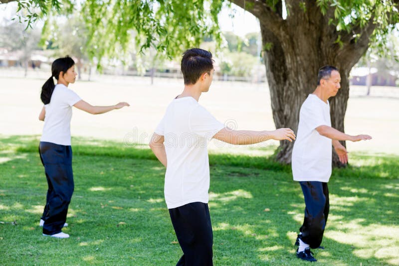 People Practicing Thai Chi in Park Stock Image - Image of asian, energy ...