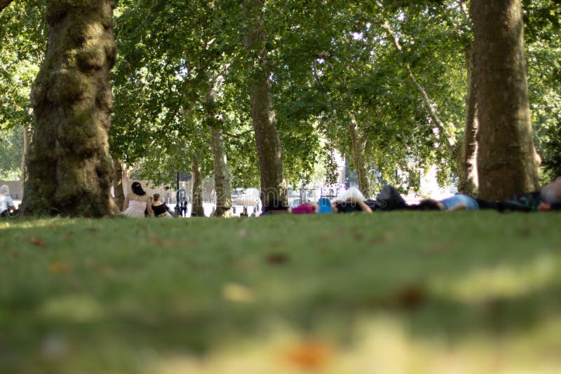 People are Relaxing in a Park Stock Photo - Image of nature, young ...