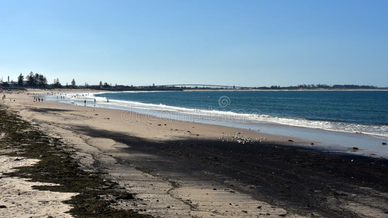 296 Stockton Beach Stock Photos - Free & Royalty-Free Stock Photos from ...