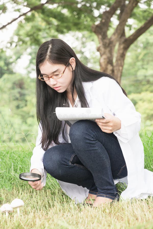 Research study nature stock photo. Image of outdoors - 101223964