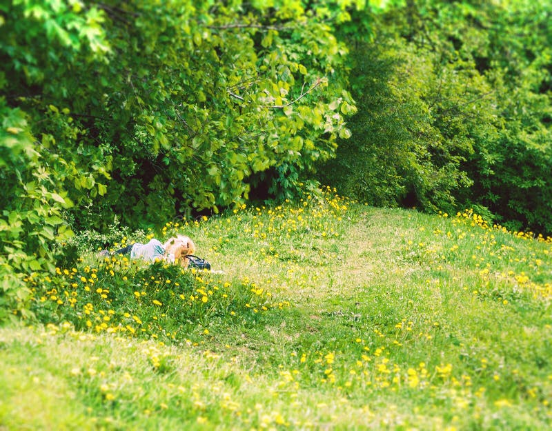 People Resting at Hilly Glade Stock Photo - Image of summer, hills ...