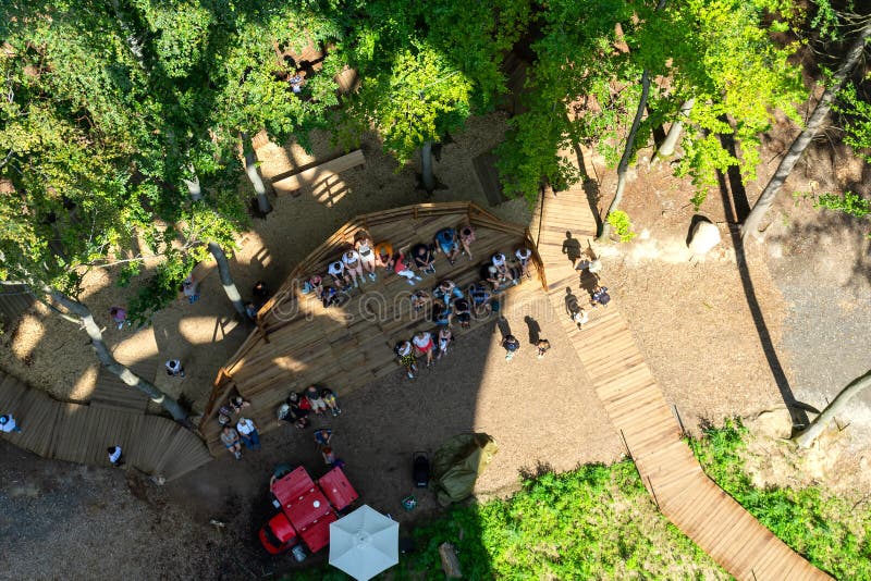 People are Resting in a Recreation Area in the Middle of the Forest ...