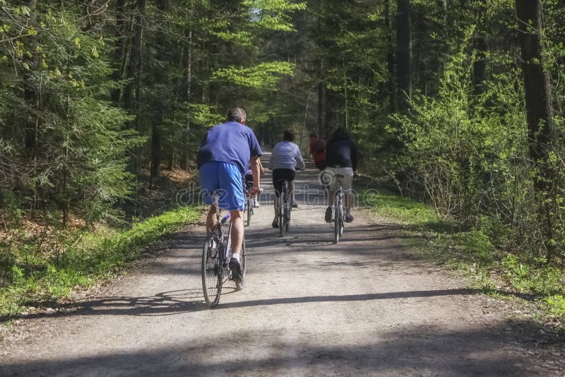 People Riding Bikes on a Forest Trail Editorial Image - Image of ...