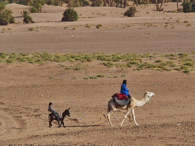 People Riding a Camel and a Donkey Editorial Photo - Image of african ...
