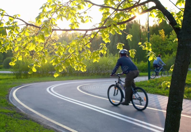 People Riding Their Bicycles Stock Photo - Image of bike, energetic ...