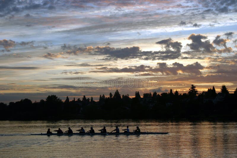 People rowing at sunrise stock image. Image of rowing, work - 521653