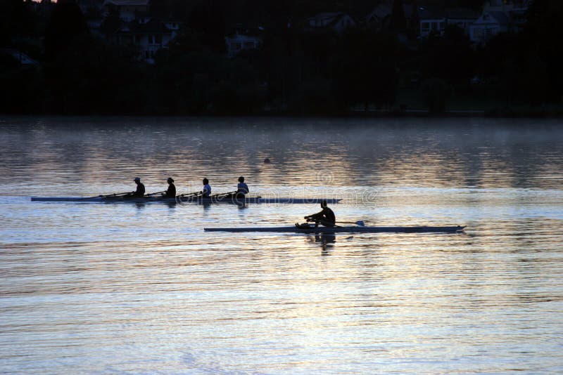 People rowing at sunrise stock photo. Image of racing, washington - 521654
