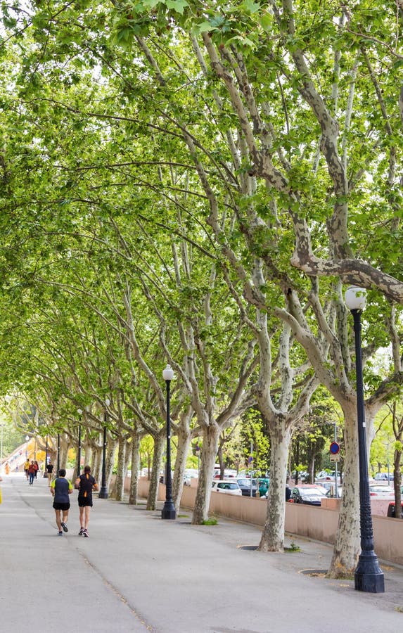 Jogging Under the Plants in Barcelona Editorial Photography - Image of ...
