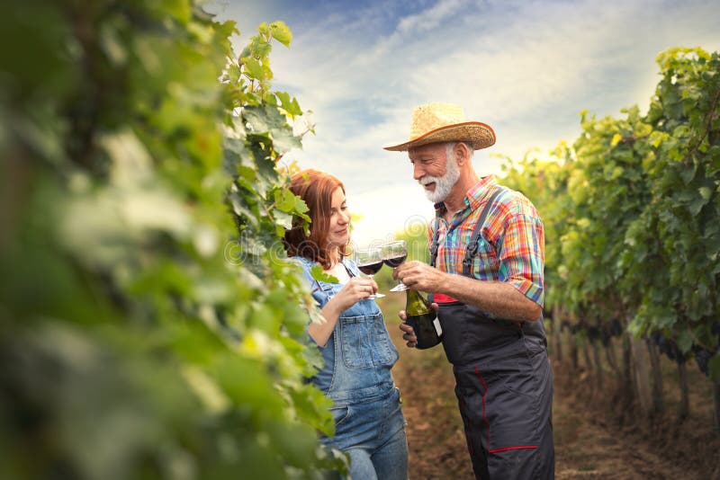 People Sampling and Tasting Wines in Vineyard Stock Image - Image of ...