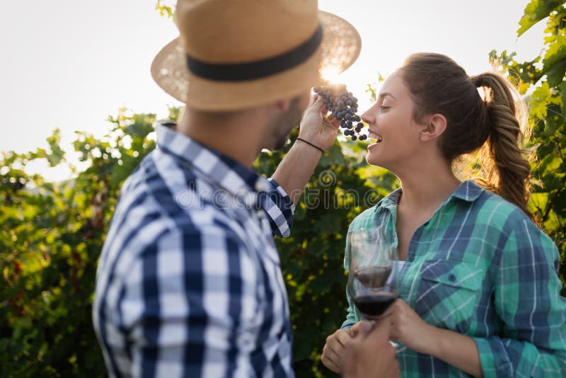 People Sampling and Tasting Wines in Vineyard Stock Image - Image of ...