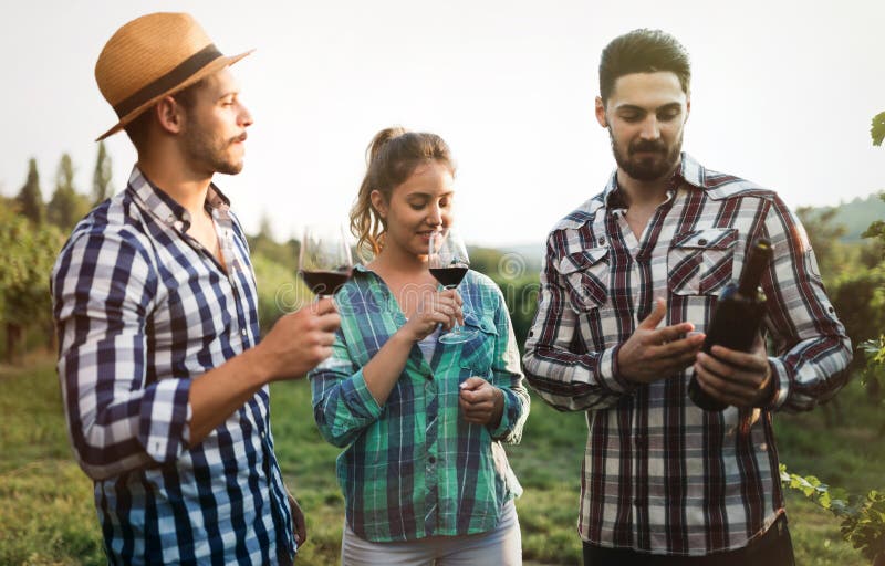 People Sampling and Tasting Wines in Vineyard Stock Photo - Image of ...