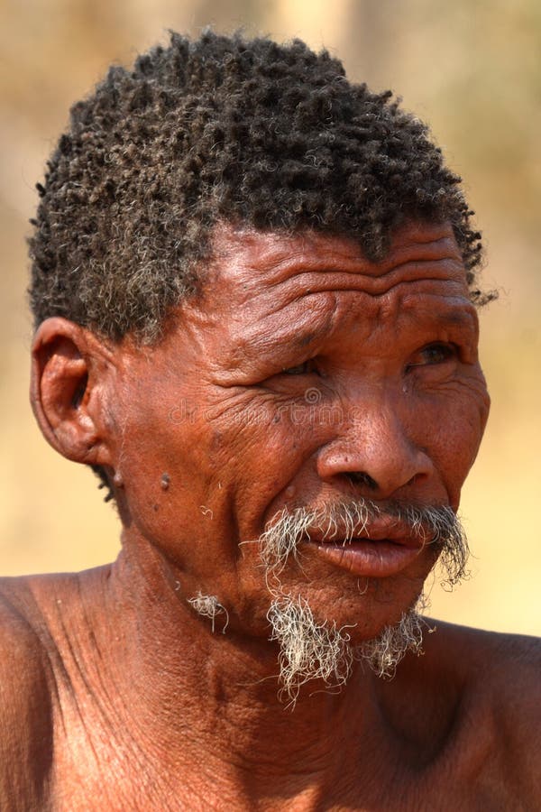 People of the San Tribe in Namibia Stock Image - Image of africa ...