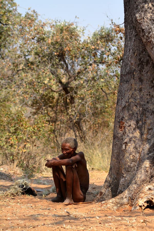 People of the San Tribe in Namibia Stock Image - Image of namibia ...