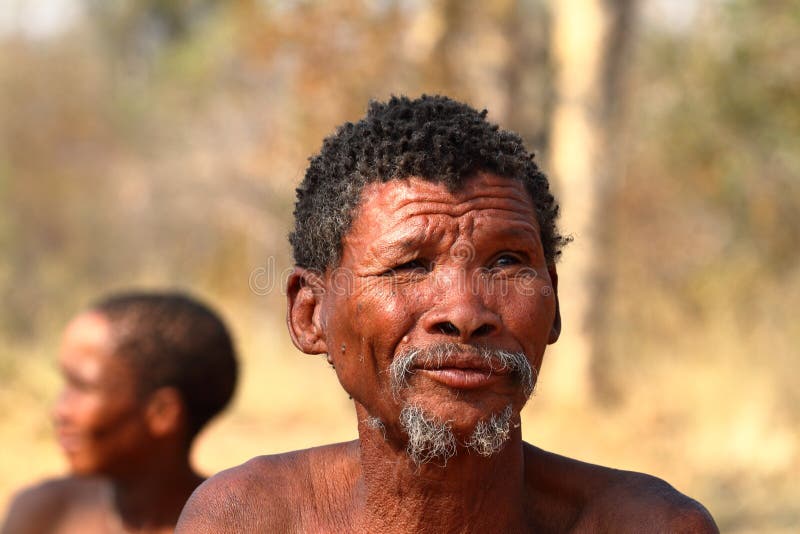 People of the San Tribe in Namibia Stock Image - Image of collectors ...