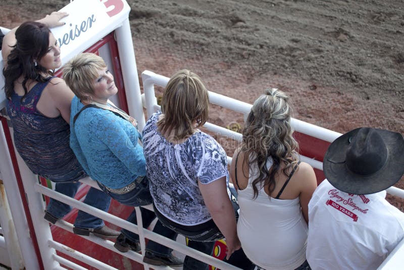 People Sat on a Gate, Calgary Editorial Stock Photo - Image of track ...