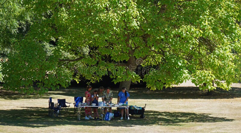 People Setting Up Picnic with Tables Under a Tree. Editorial Stock ...