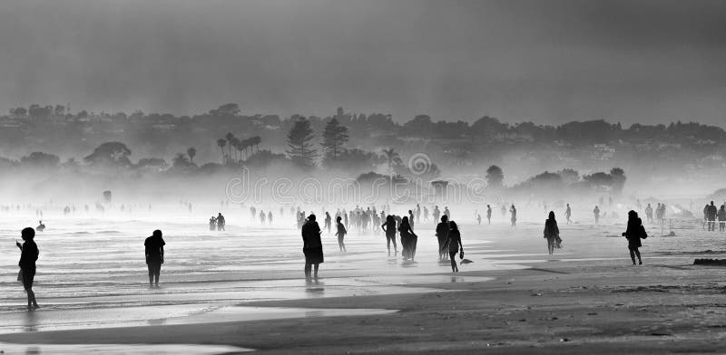 Shadows on the Beach at Sunset in Australia Stock Photo - Image of ...